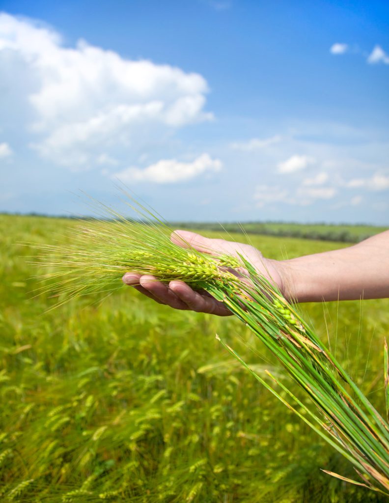 About Us – AgriSafe Techno